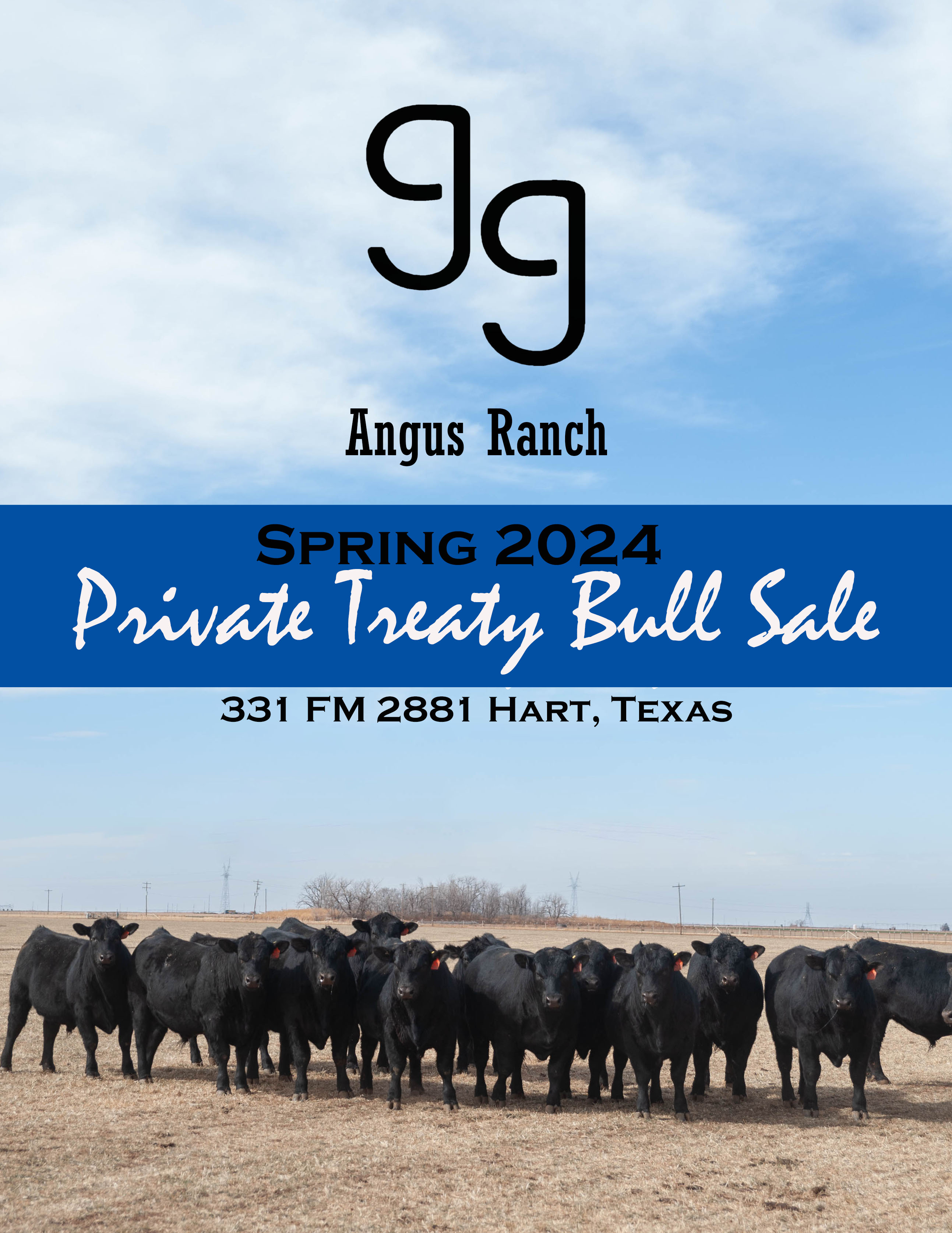 gg Angus Ranch